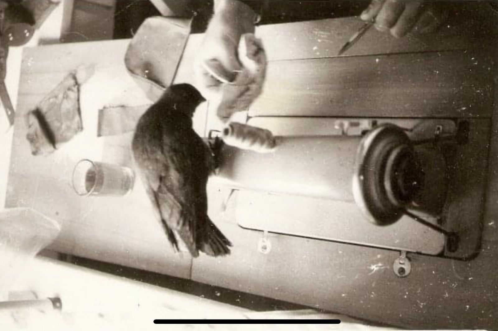 Dactylian & Palo Santo Discos 26th February 2024 | Listen on NTS