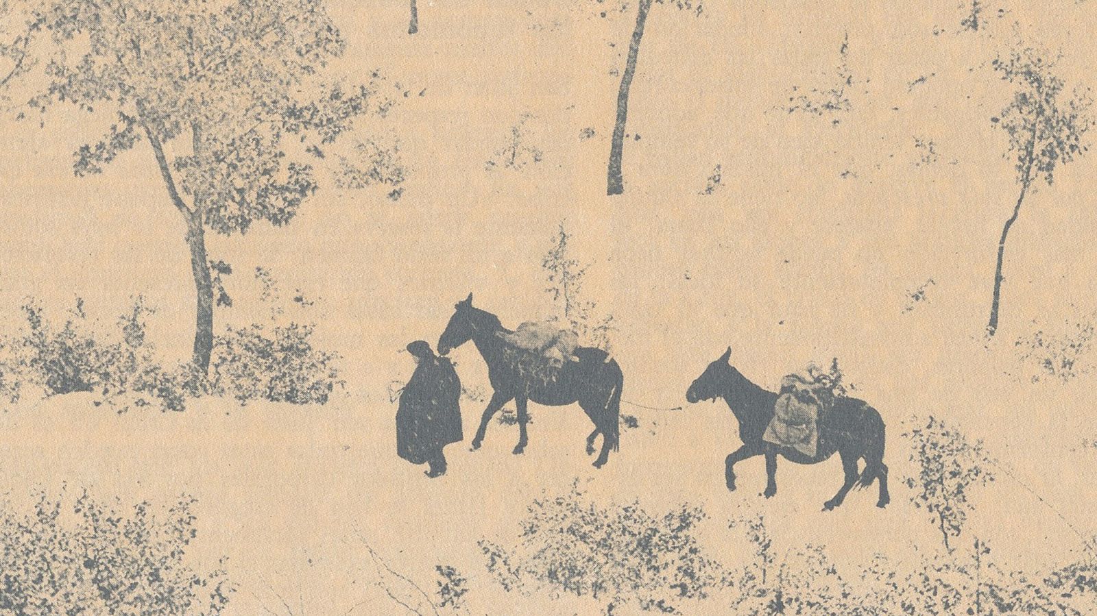 Music For Days Like These w/ John Talabot | Listen on NTS