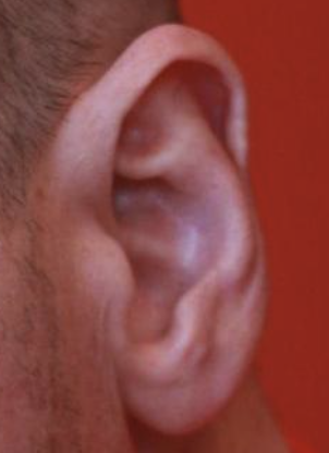 Your Favorite Song: Breath w/ Arto Lindsay & Ben Ratliff 1st May 2025 ...