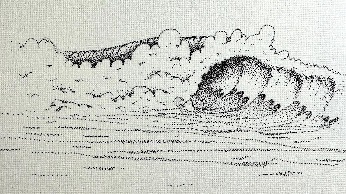 WHODIS? w/ DJV & Fat Albert Einstein 10th July 2024 | Listen on NTS