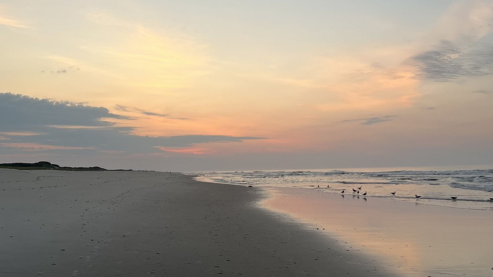 jafairy oasis w/ GOTH JAFAR 14th August 2024 | Listen on NTS