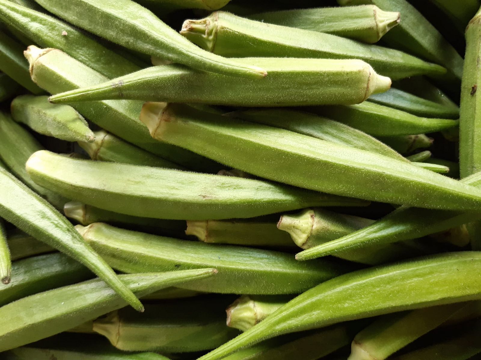 If Music Presents You Need This w/ Jean-Claude 11th June 2023 | Listen on NTS