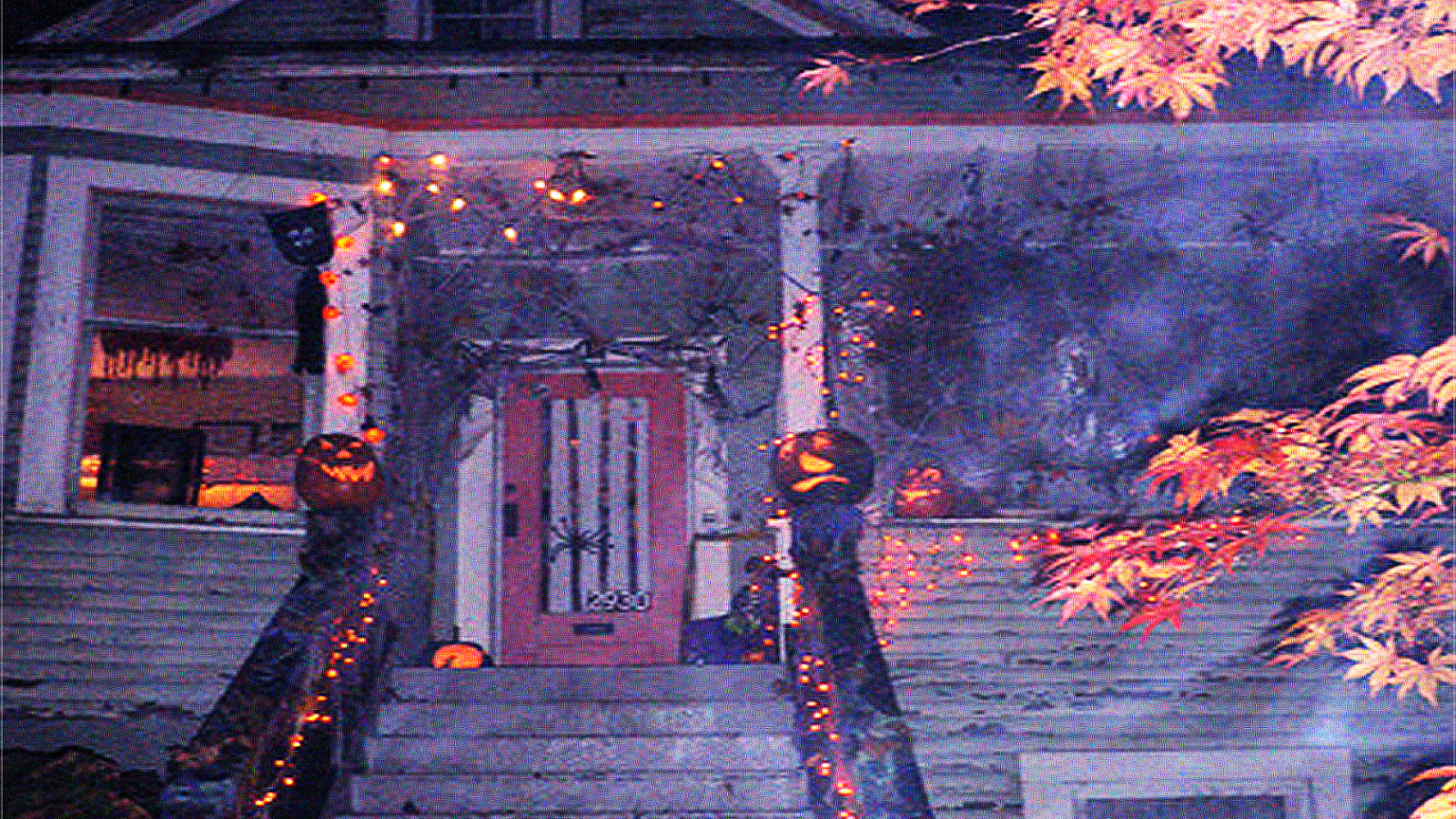 Sematary – NTS Radio - Sematary 190425 Lyrics | Genius Lyrics