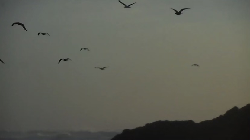 The Hourglass w/ Elusin 24th April 2025 | Listen on NTS