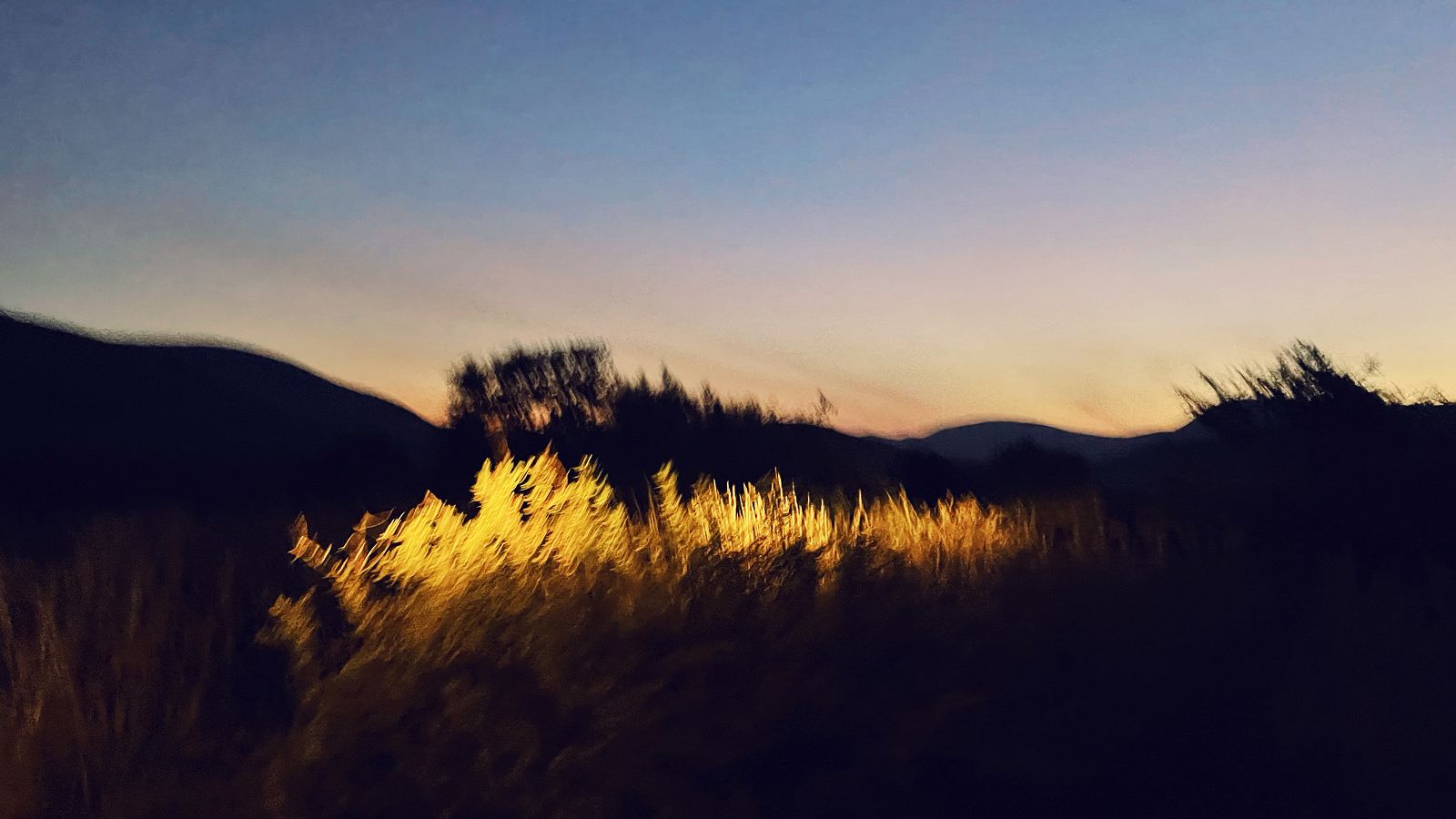 SOUND FIELDS W/ FADING OBJECTS 14th January 2024 | Listen on NTS