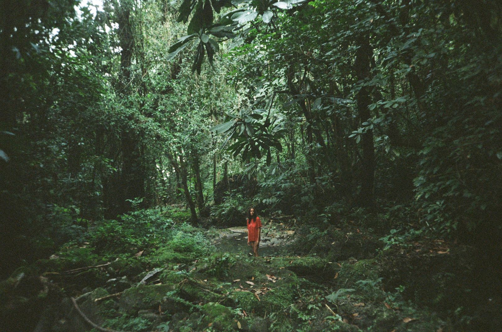 Calm Roots w/ Alex Rita 28th April 2025 | Listen on NTS