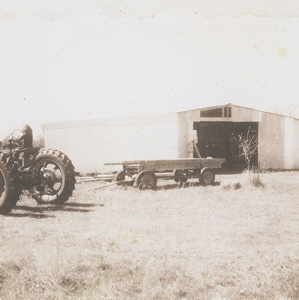 Blank Forms: The Heat Decides Everything with Tyler Maxin 16th March ...