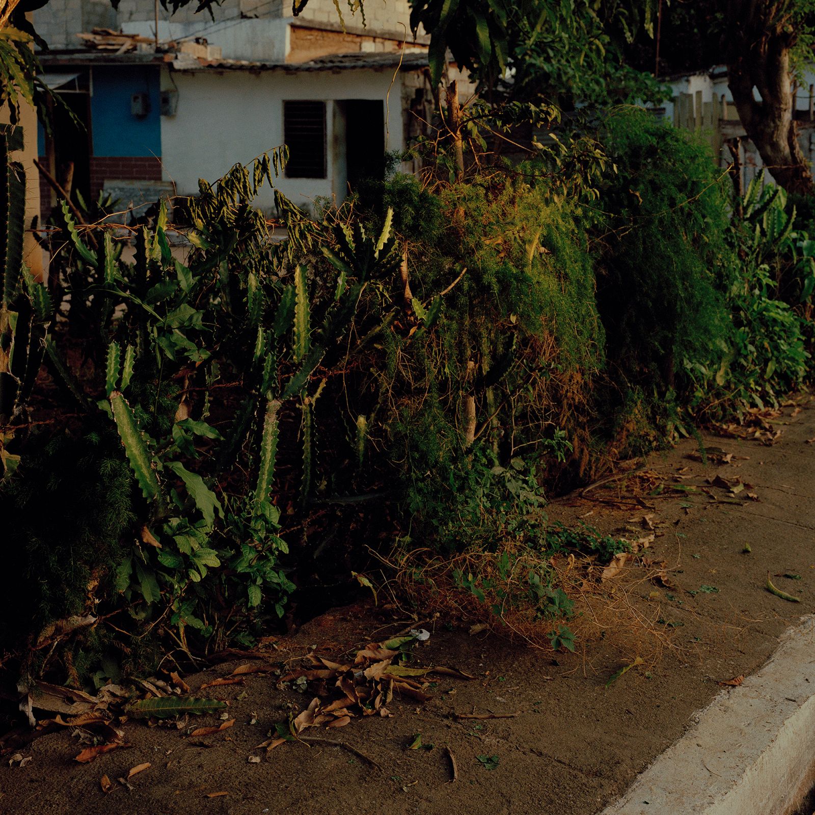 Felix Hall 7th January 2022 | Listen on NTS