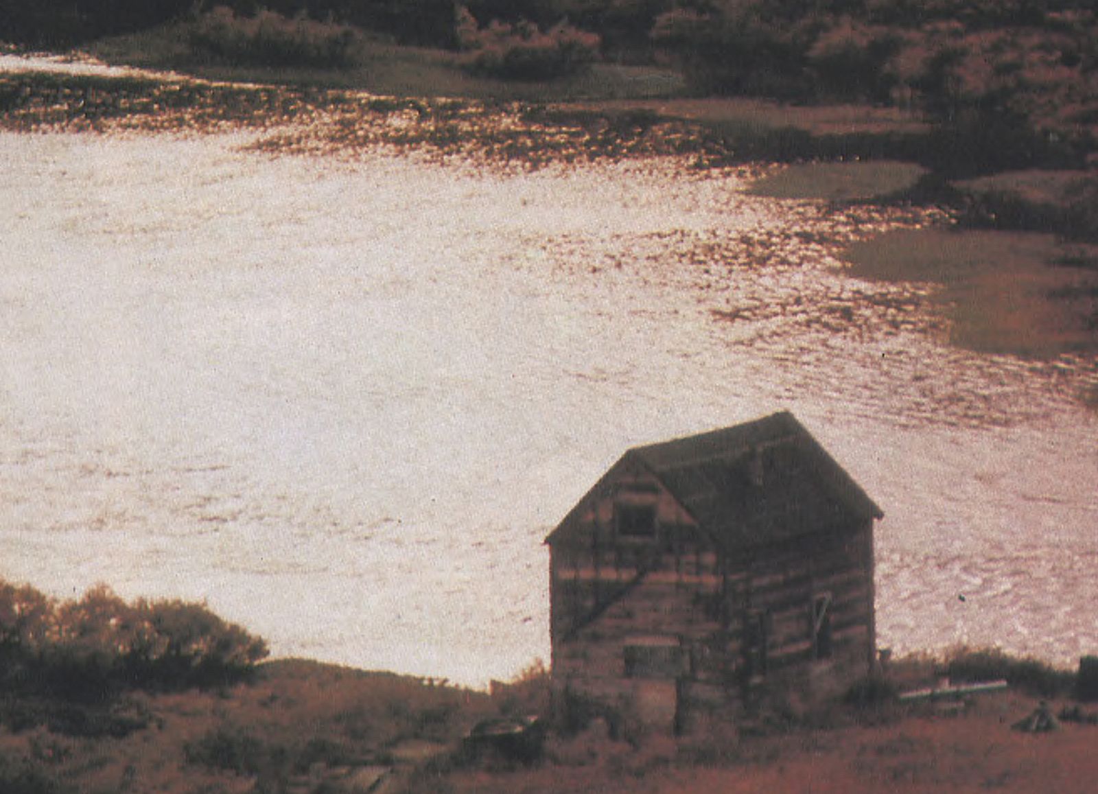 Forager Records - Jeffrey Silverstein takeover 20th July 2023 | Listen ...