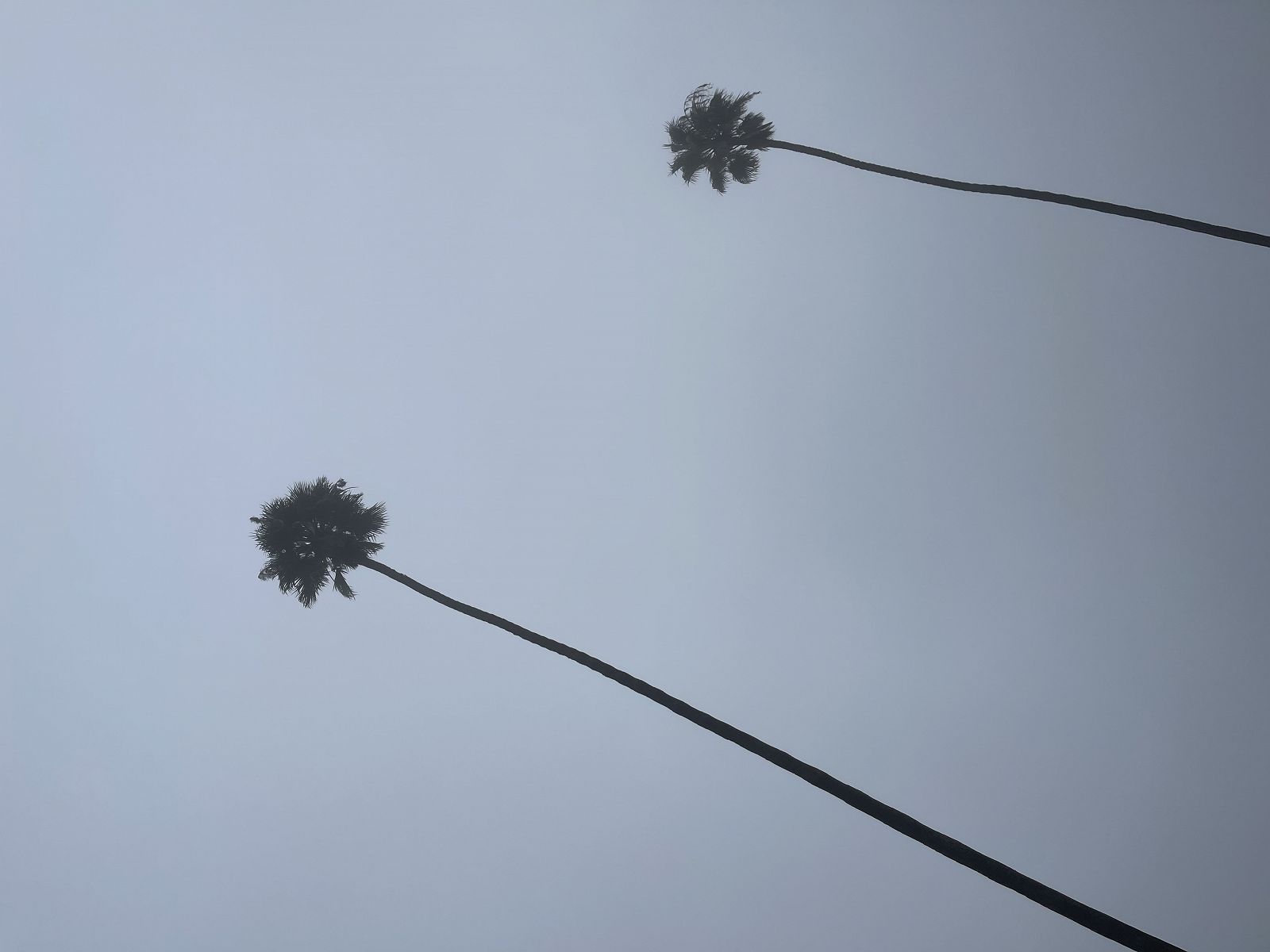 Boom Bip 8th August 2023 | Listen on NTS