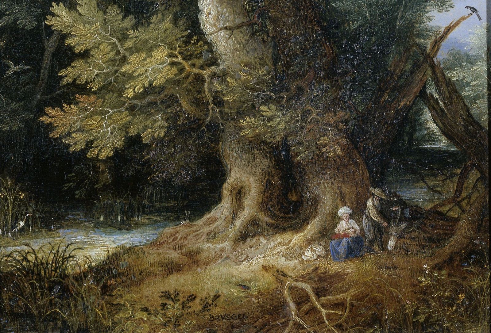 The Early Bird Show w/ Jack Rollo & Mario Miron 28th June 2024 | Listen ...