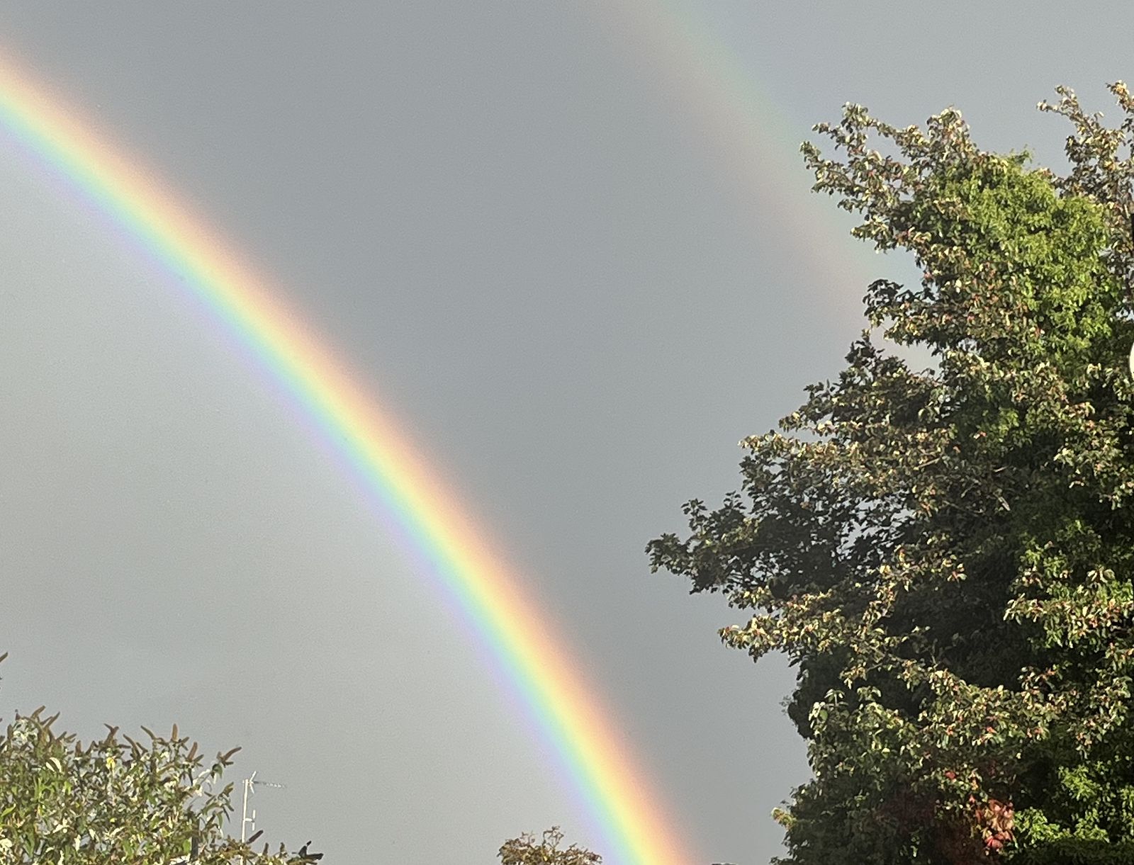 The Early Bird Show w/ Spirit Blue 17th September 2025 | Listen on NTS