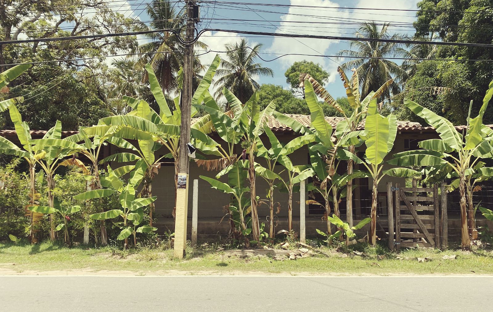 Dactylian & Palo Santo Discos 23rd May 2022 | Listen on NTS