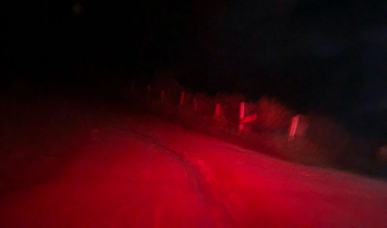 Cold Pizza w/ Stud1nt 19th July 2022 | Listen on NTS