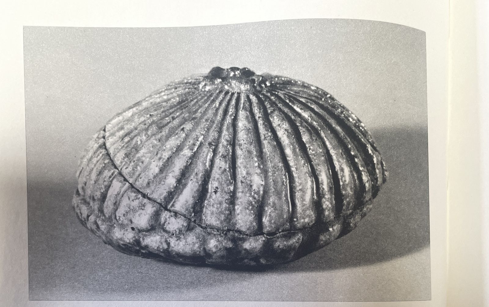 Aaron Angell 1st July 2024 | Listen on NTS