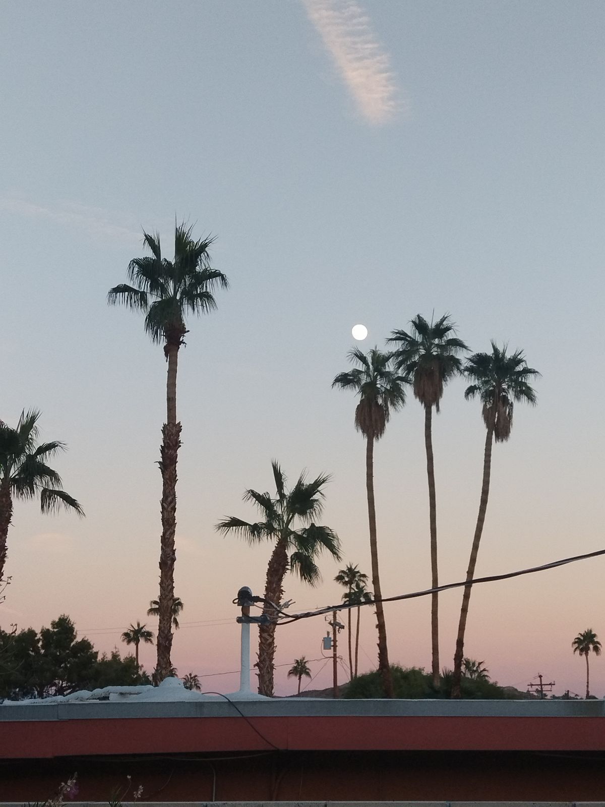 Prosumer 25th November 2025 | Listen on NTS