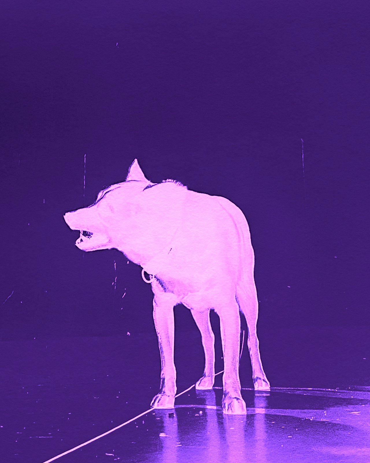 Debt & Refuge w/ Nymity 4th July 2025 | Listen on NTS