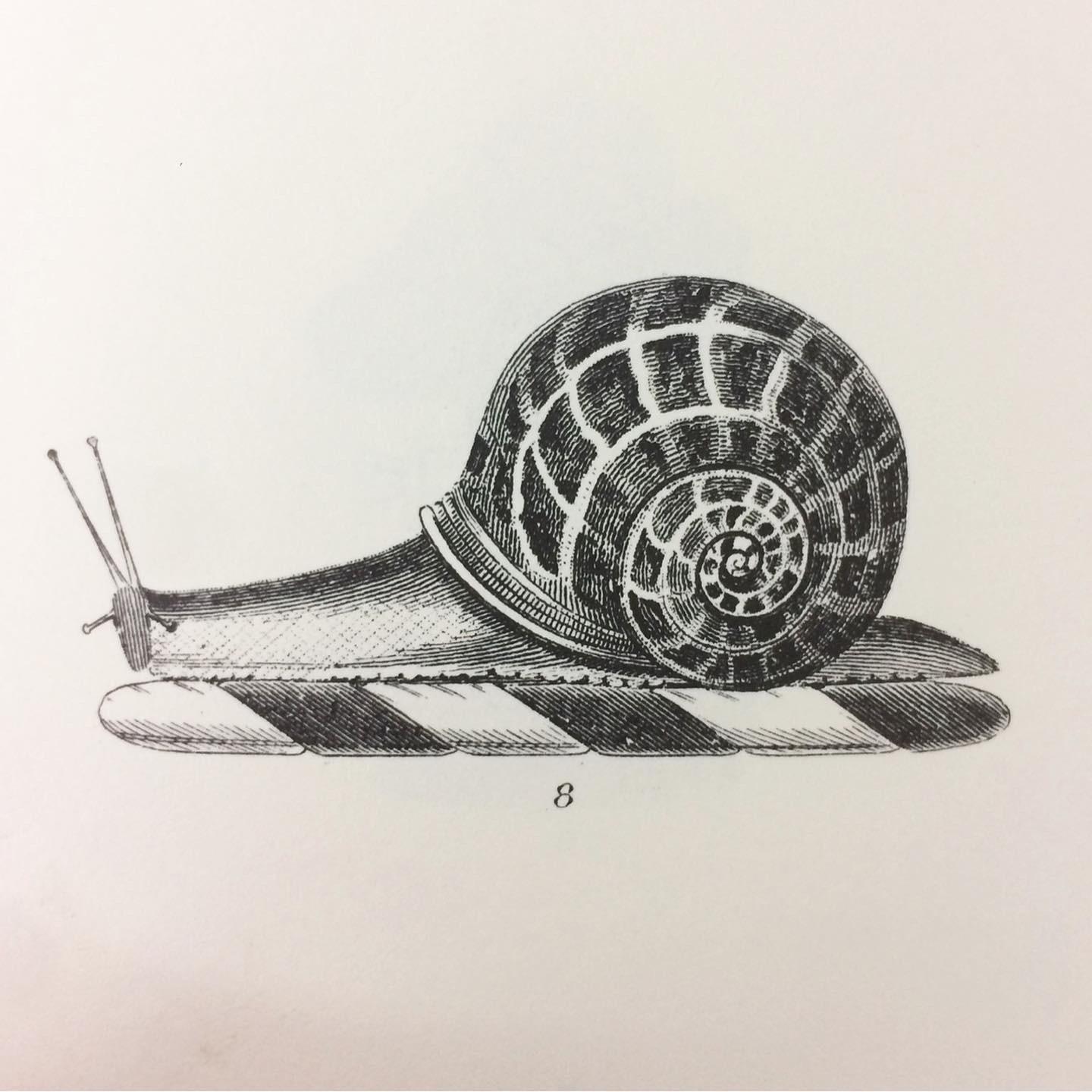 Aaron Angell 20th November 2023 | Listen on NTS