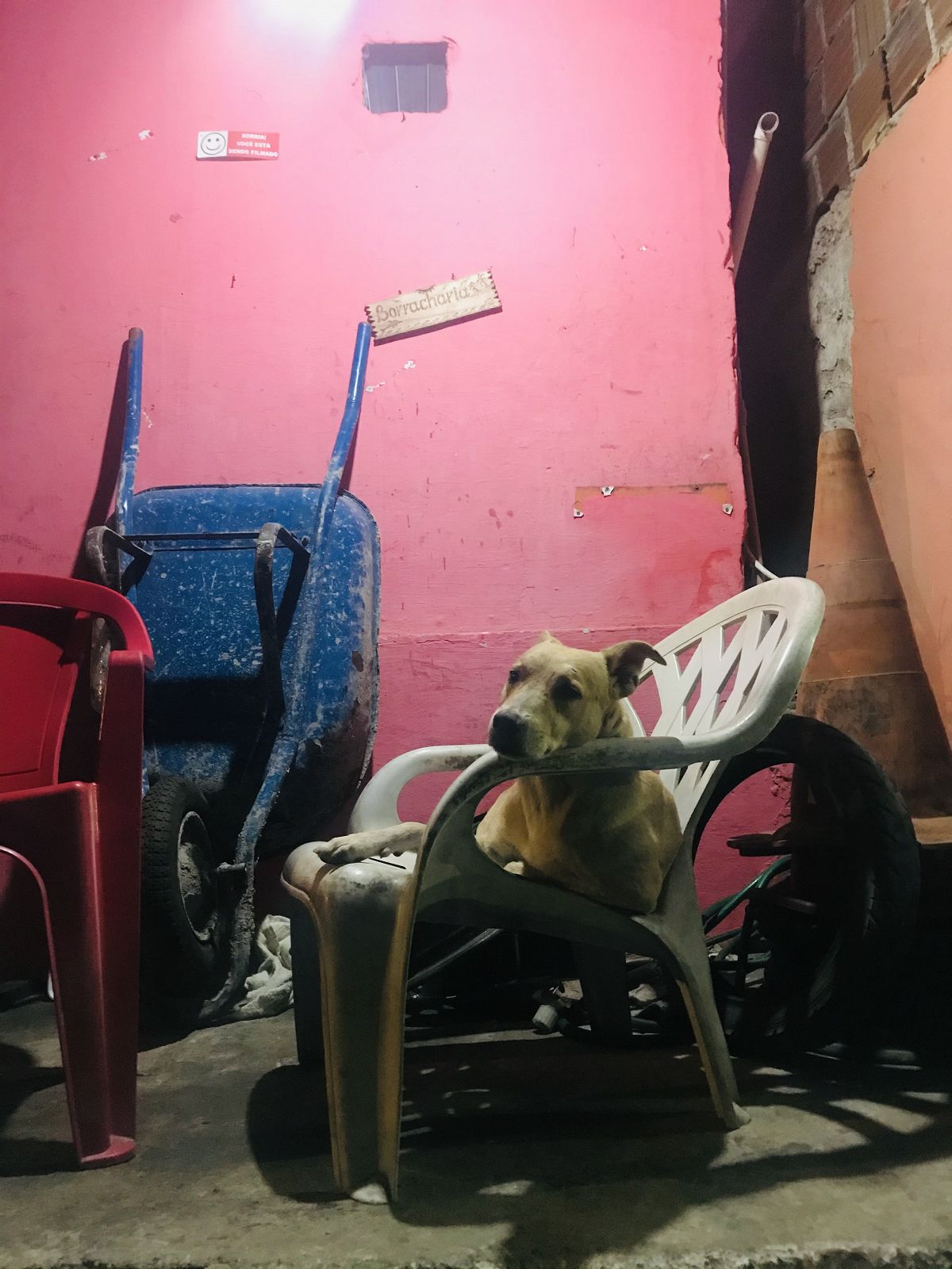 Club Coco w/ Coco María: Live from Mexico City 10th February 2025 ...