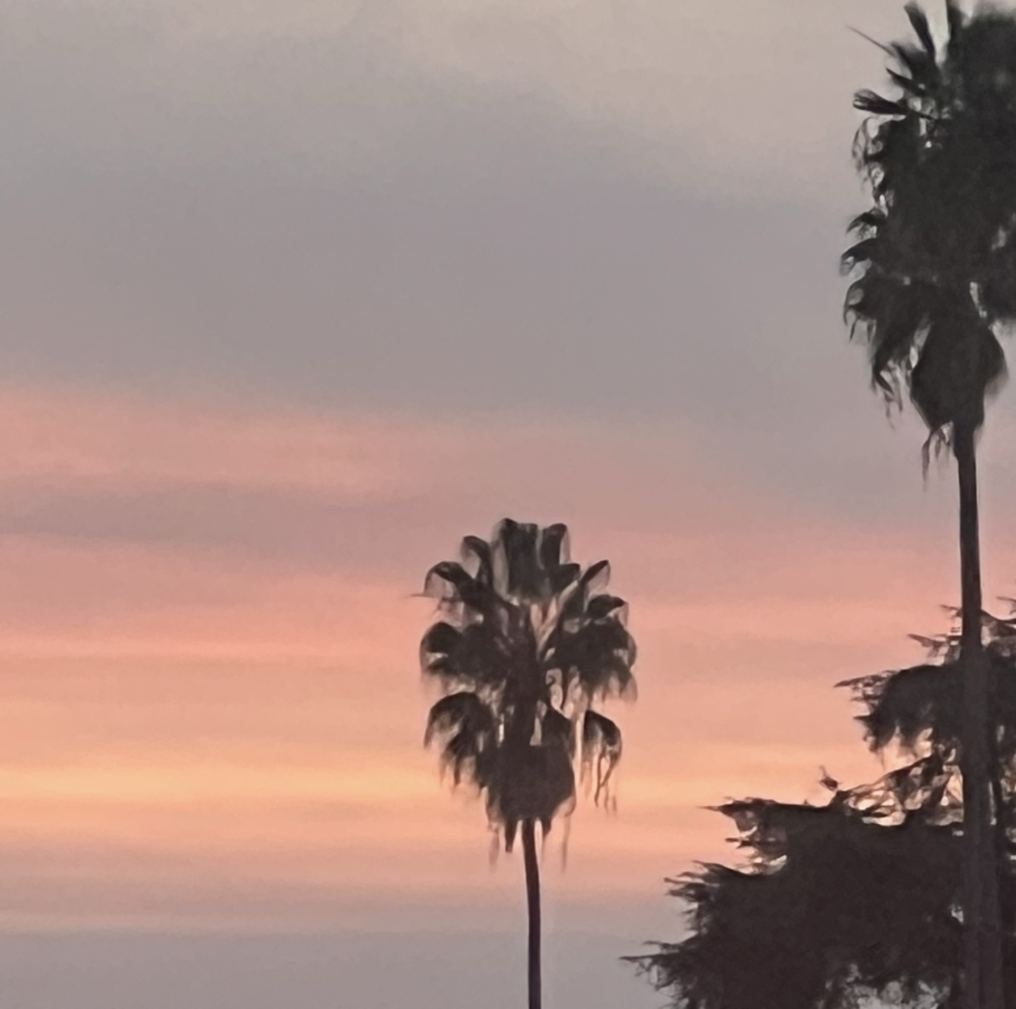 jafairy oasis w/ GOTH JAFAR - live from los angeles 29th January 2025 ...