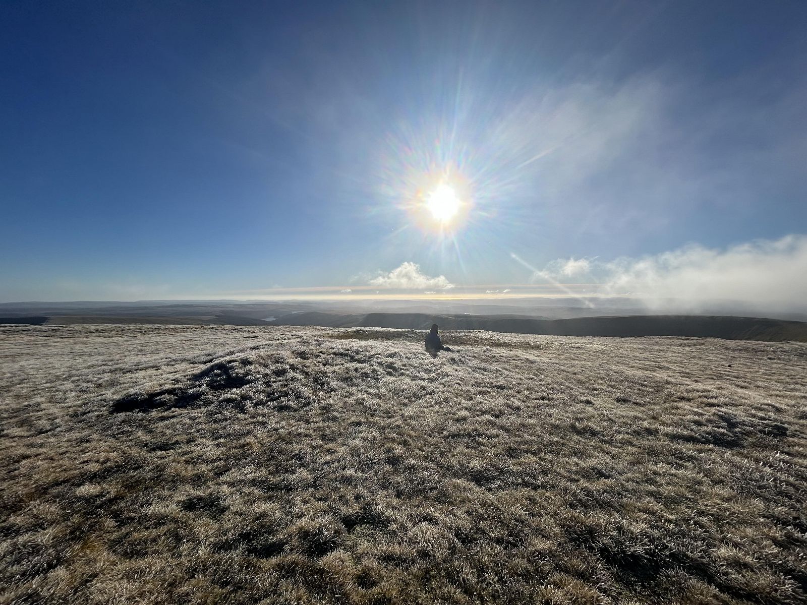 The Early Bird Show w/ THEA HD 6th January 2025 | Listen on NTS