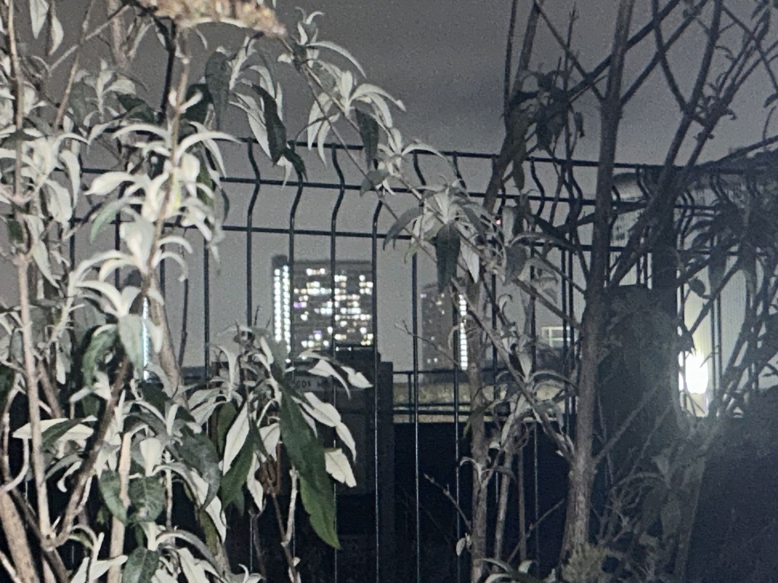 Mark William Lewis: Sparkles 22-24 6th January 2025 | Listen on NTS