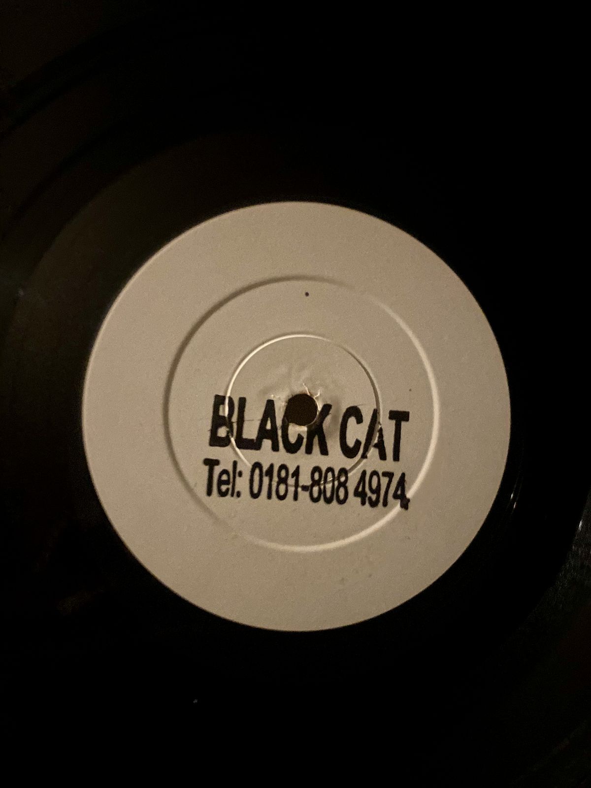 Dactylian w/ Winsome - Jungle white labels 93-96 24th March 2025 ...