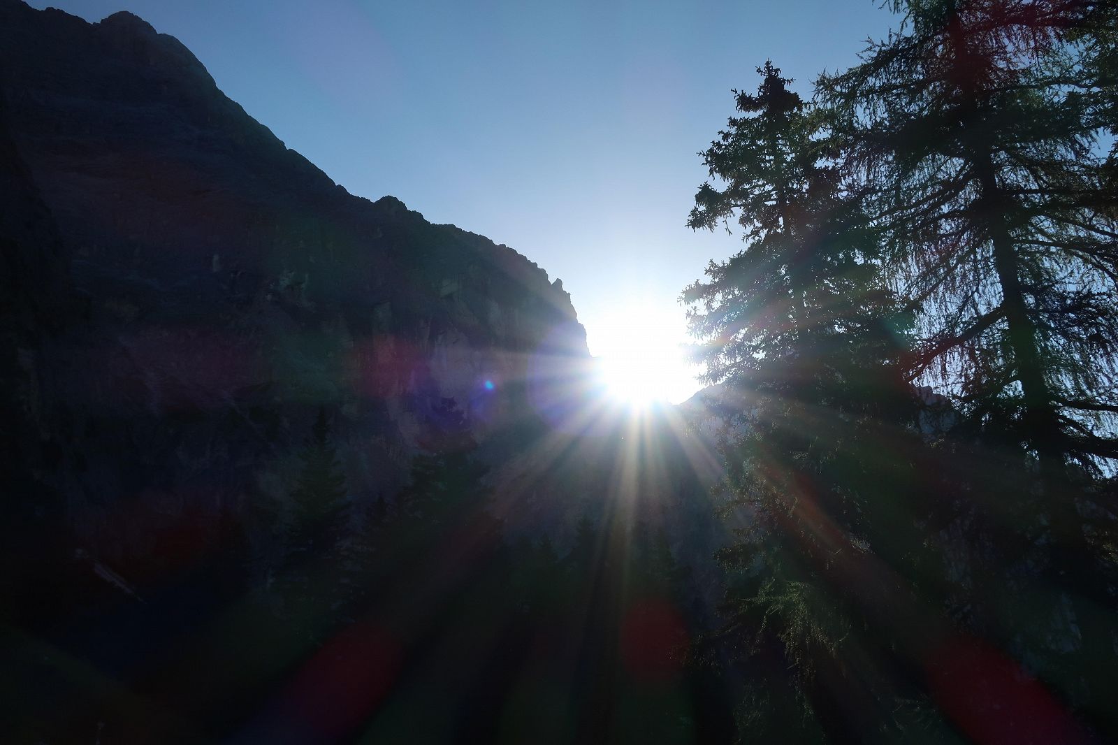 The Early Bird Show w/ Thea HD 24th July 2025 | Listen on NTS