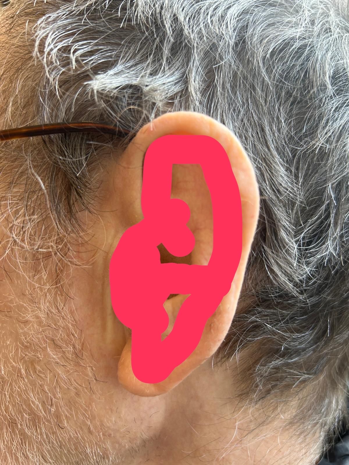 YOUR FAVORITE SONG W/ ARTO LINDSAY & BEN RATLIFF: CRESCENDOS & LONG ...