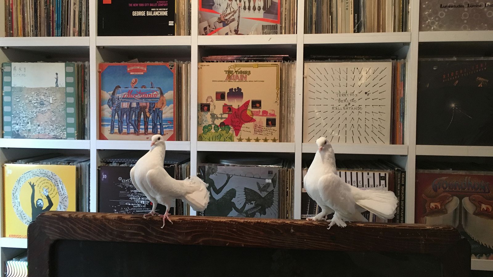 Merzbow | Listen on NTS